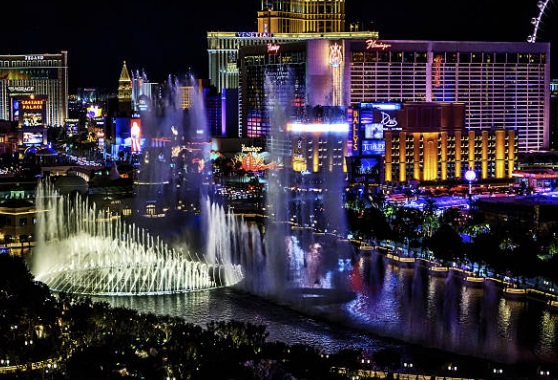 WIGO - What is going on in the Amusement Industry?